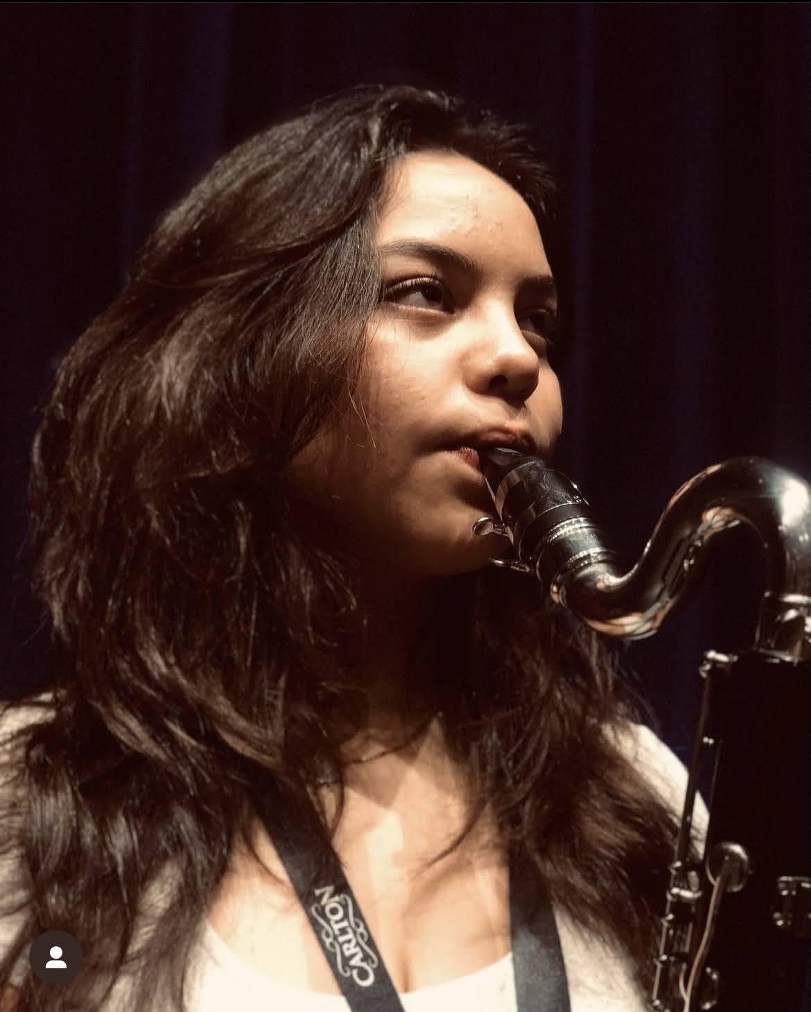 Centre for Performing & Visual Arts - Central Memorial High School